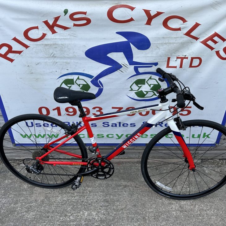 Hybrids – Rick's Cycles